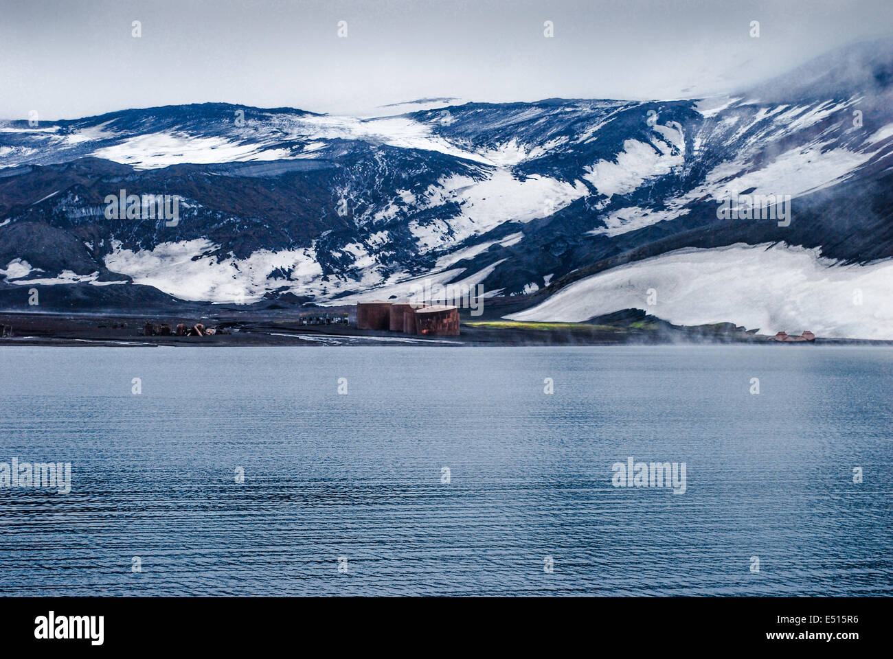 Sealing antarctica hi-res stock photography and images - Alamy