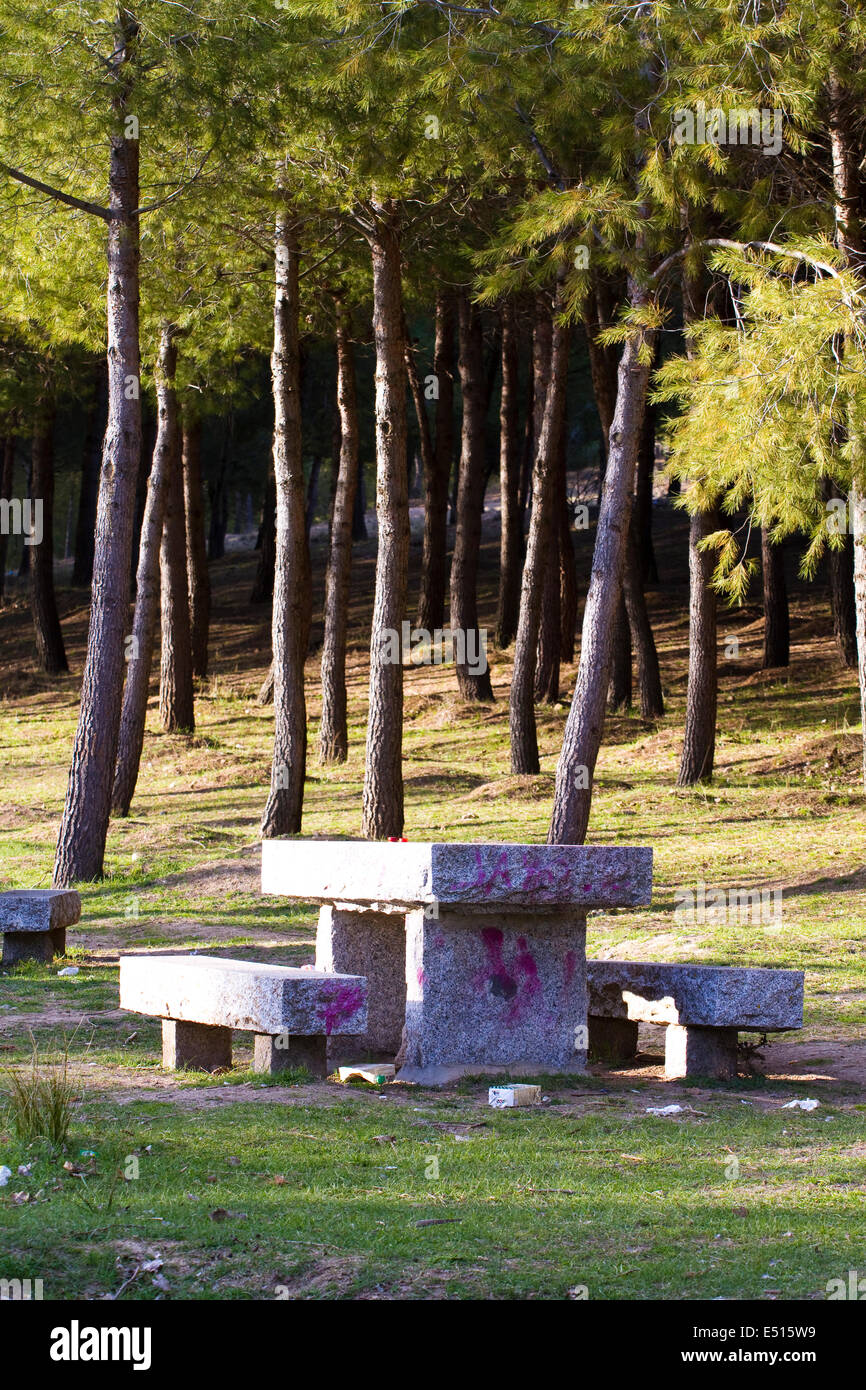 Forest with stone chairs Stock Photo - Alamy