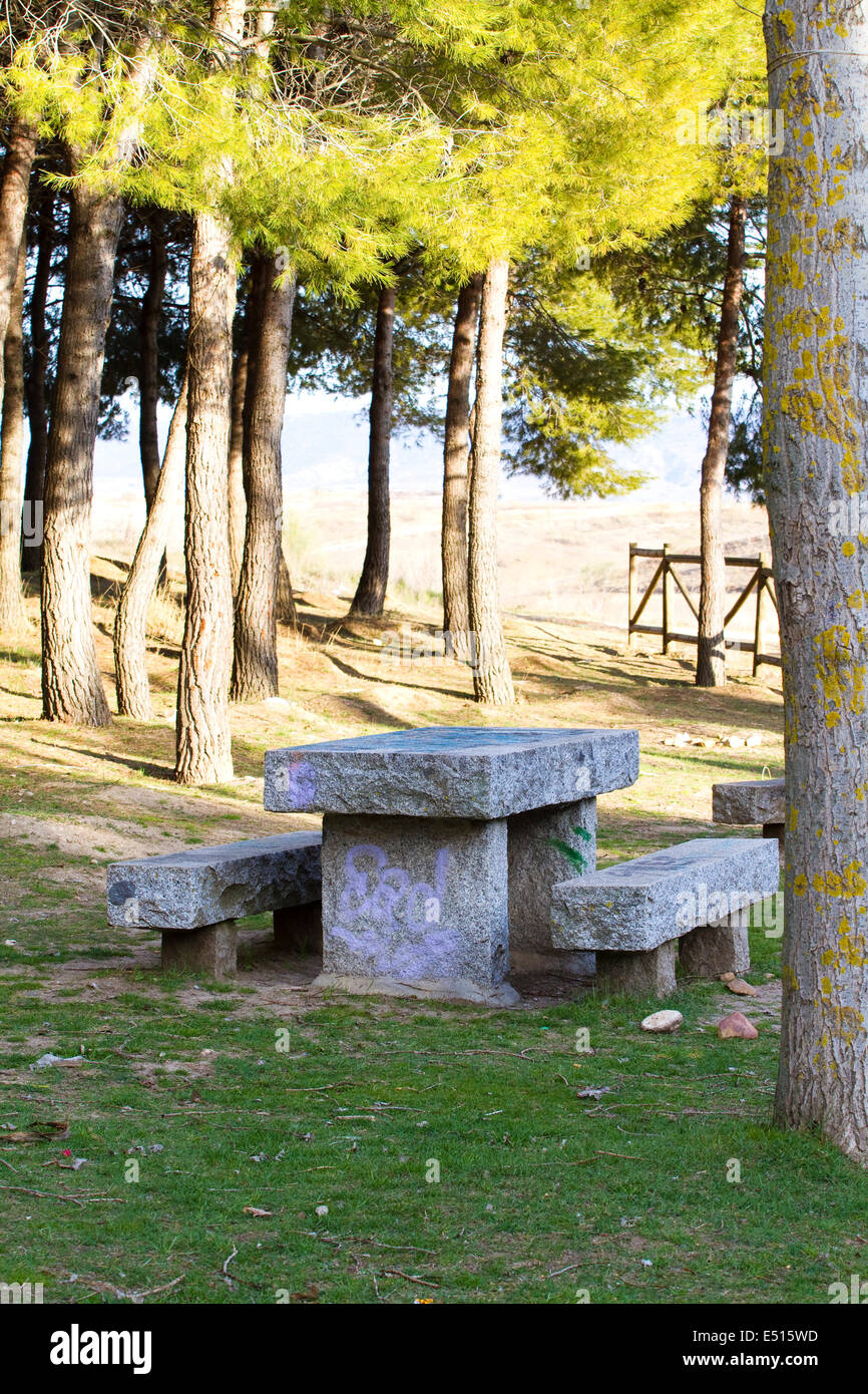 Forest with stone chairs Stock Photo - Alamy