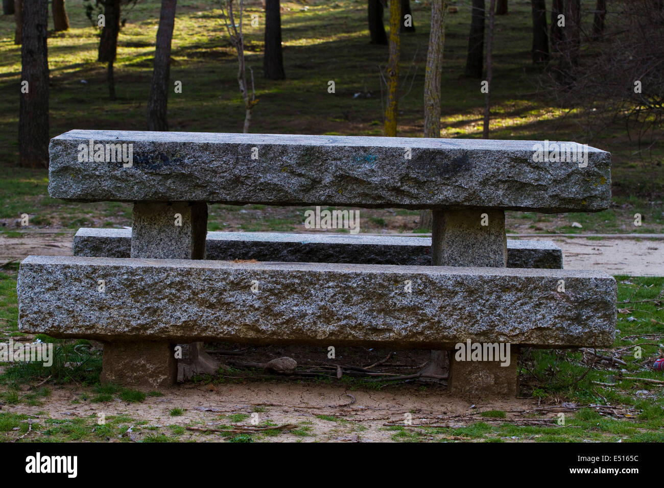 Forest with stone chairs Stock Photo - Alamy