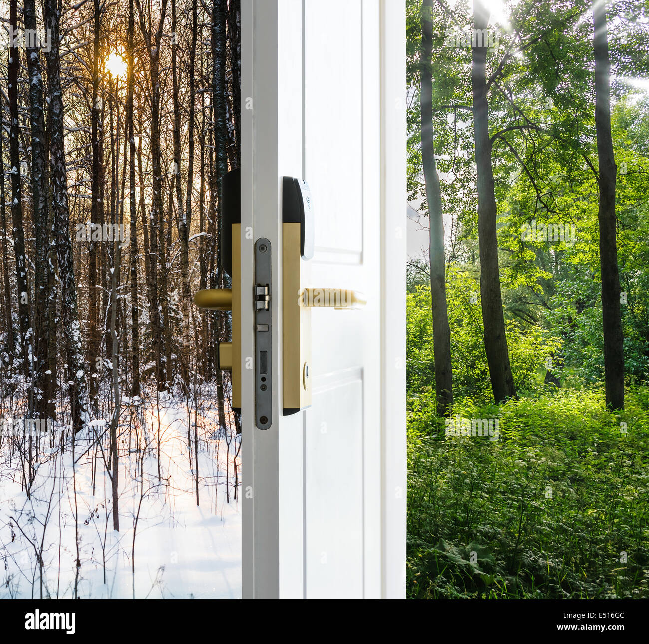 open door and a winter forest Stock Photo - Alamy