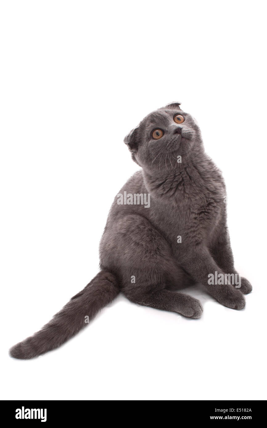 Front view old british Cut Out Stock Images & Pictures - Alamy