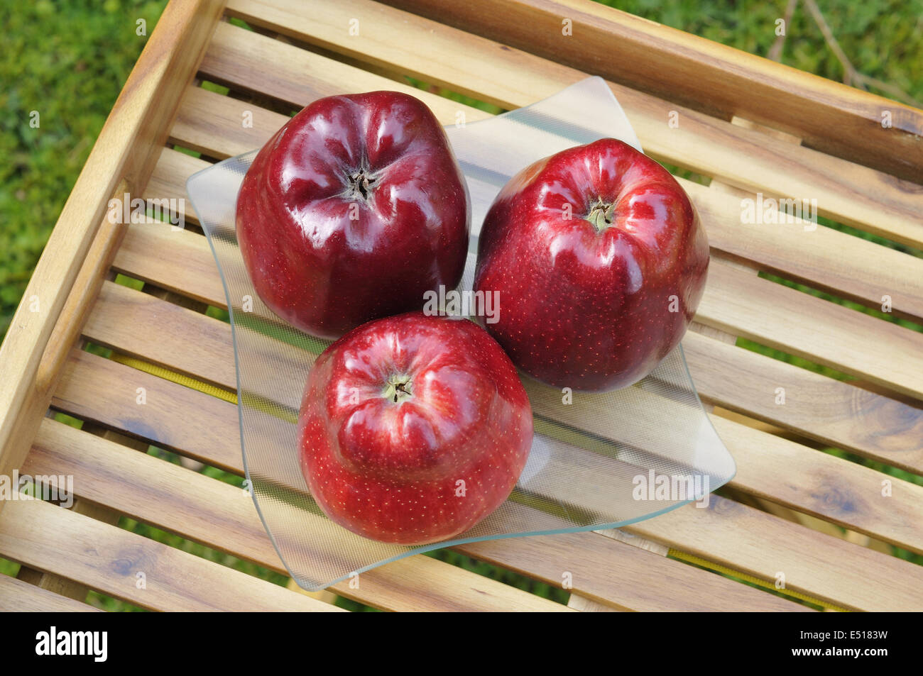 Red apple farm hi-res stock photography and images - Alamy