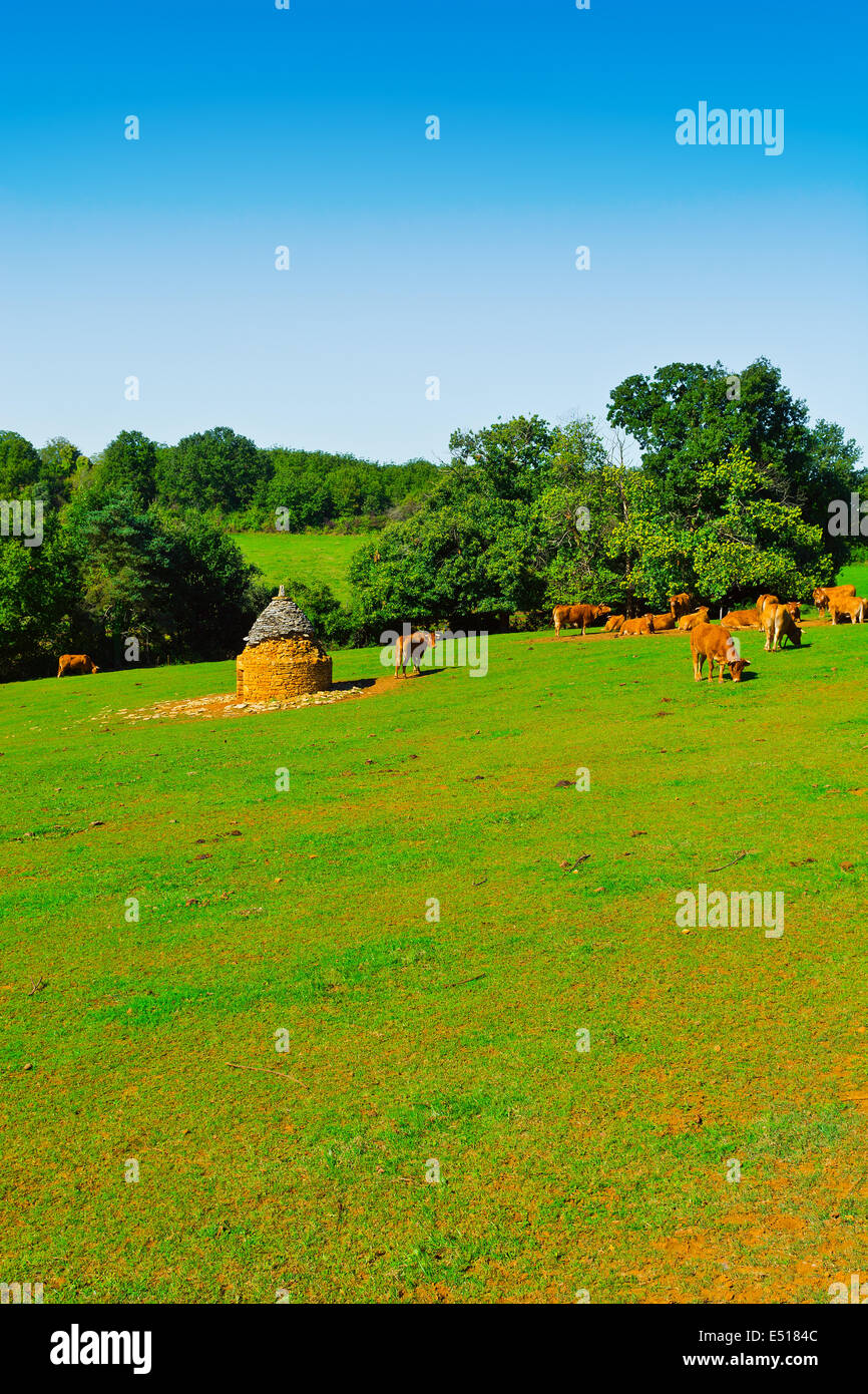 Meadows straw hi-res stock photography and images - Alamy