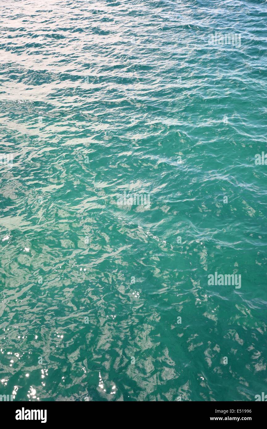 Shore digital hi-res stock photography and images - Alamy
