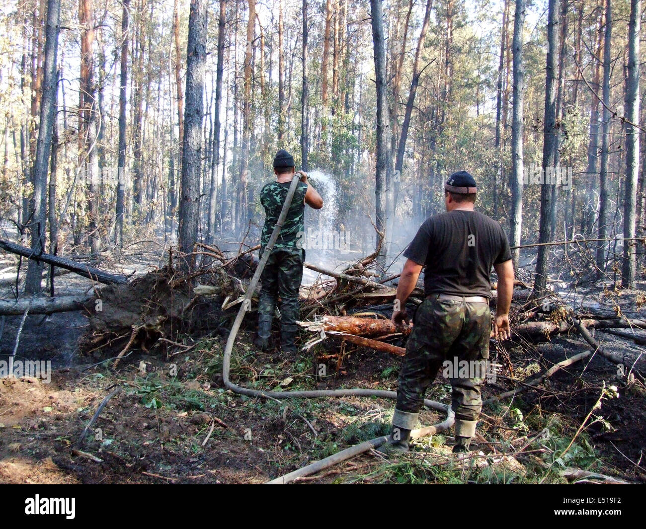 Firemen fighting a bushfire Stock Photo - Alamy