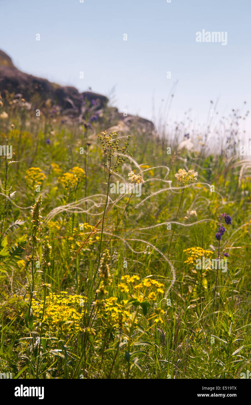 Prairie reserve hi-res stock photography and images - Alamy