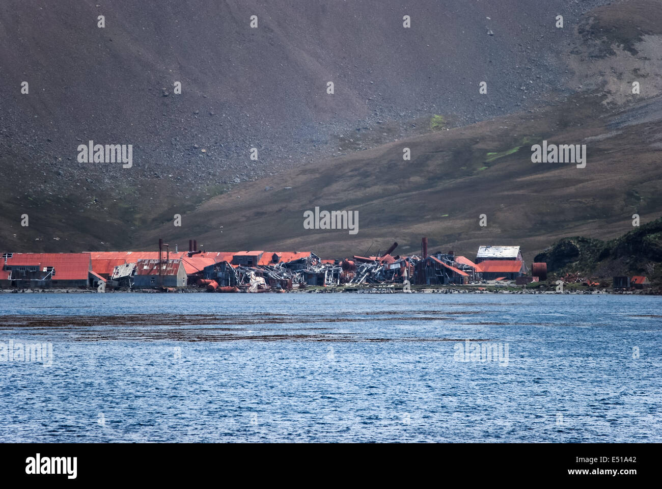 Whalers base Husvik, South Georgia Stock Photo - Alamy