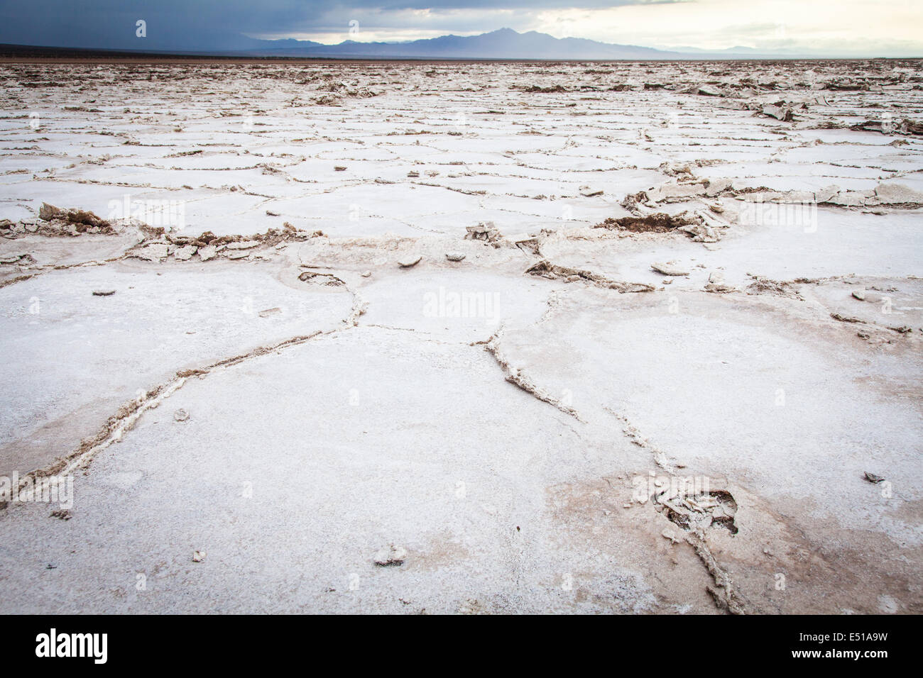 Salt soil damage hi-res stock photography and images - Alamy