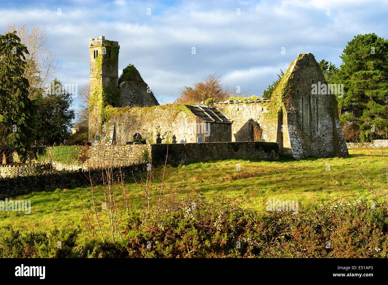 Europe Ireland County Clare Shannon Quinn Abbey National Monument Stock ...