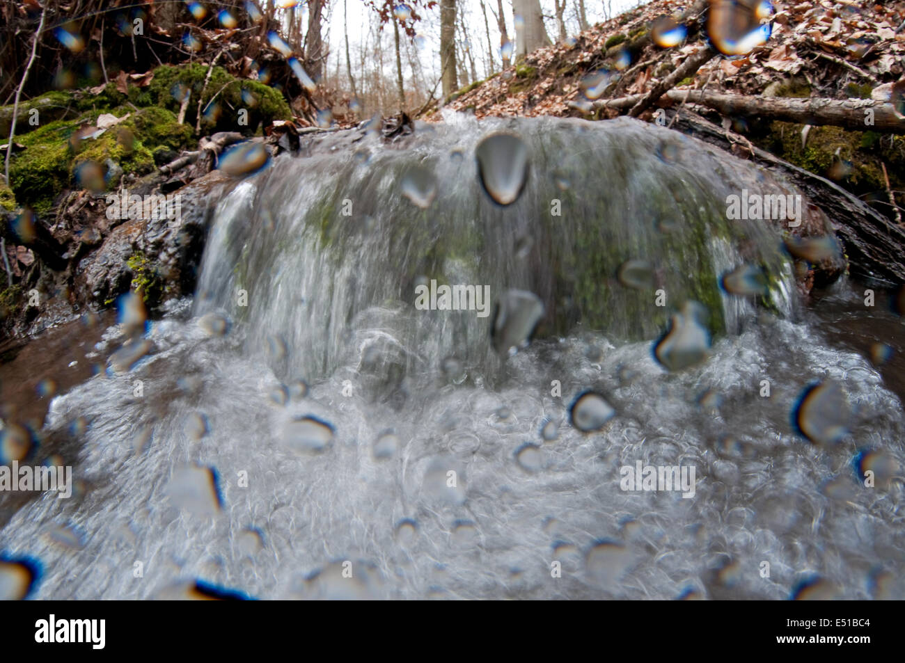 Lime creek hi-res stock photography and images - Alamy