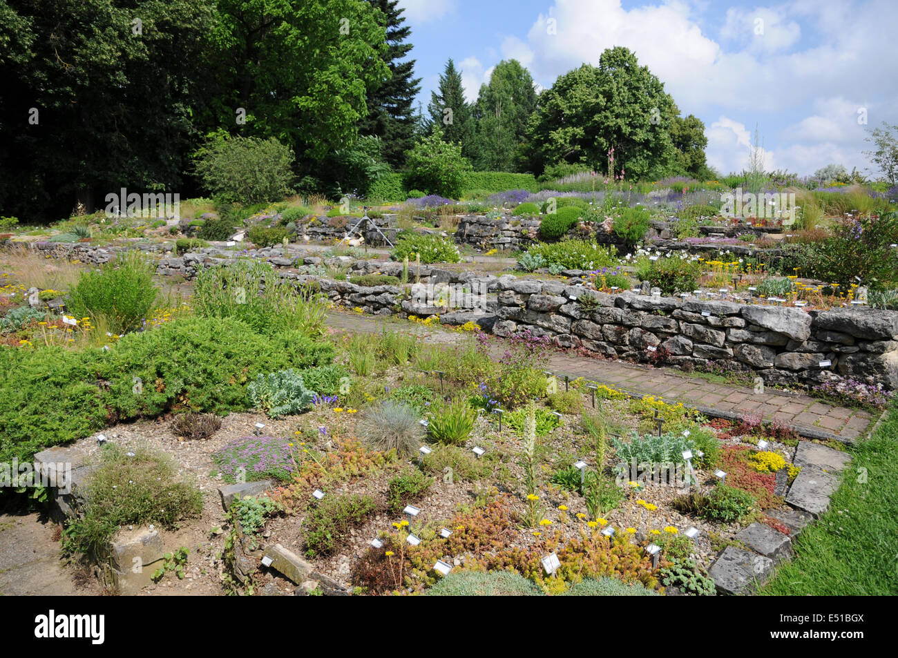 Rockgarden High Resolution Stock Photography and Images - Alamy