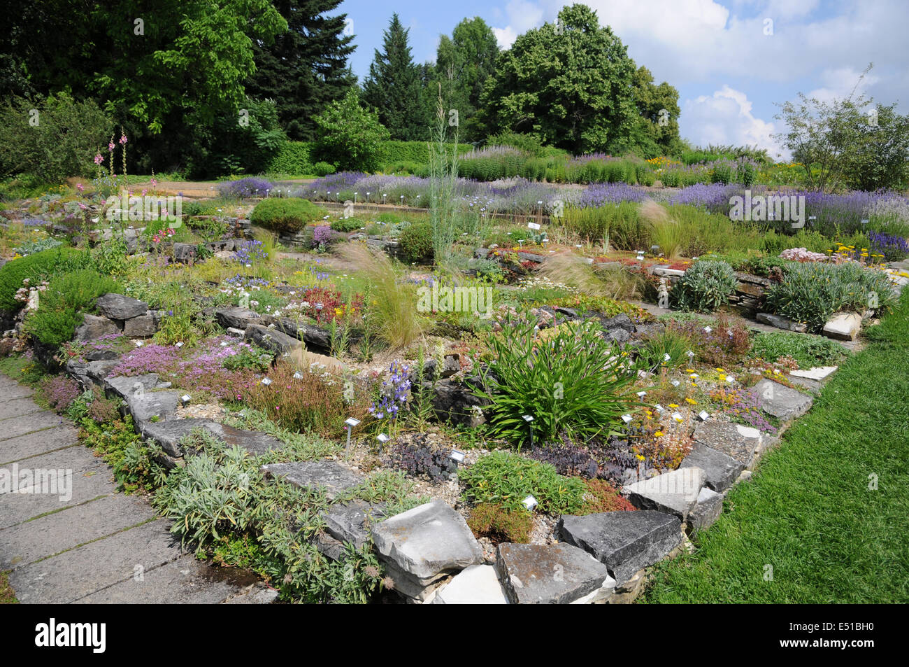 Rockgarden hi-res stock photography and images - Alamy
