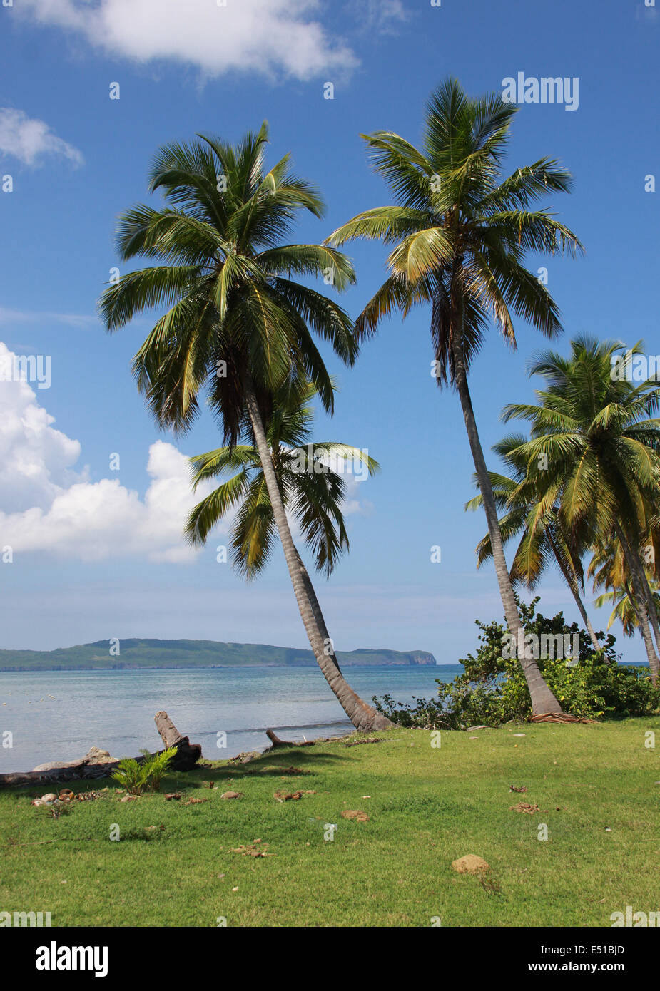Caribbean landscape hi-res stock photography and images - Alamy