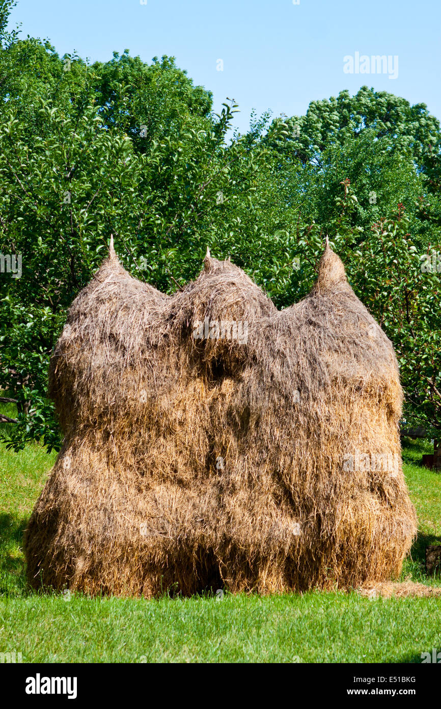 hay with the blue cloudy sky Stock Photo - Alamy