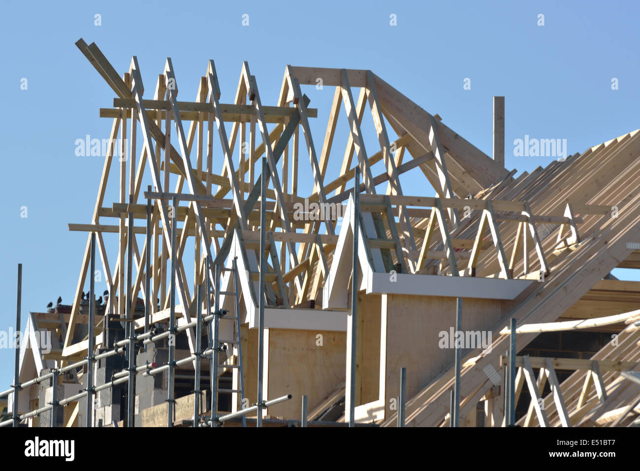 roof under construction Stock Photo - Alamy