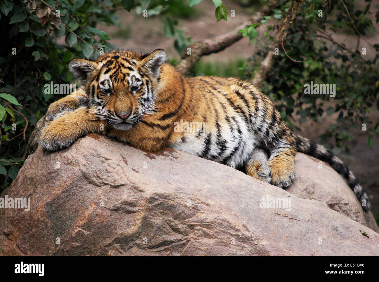 Lazy children hi-res stock photography and images - Alamy
