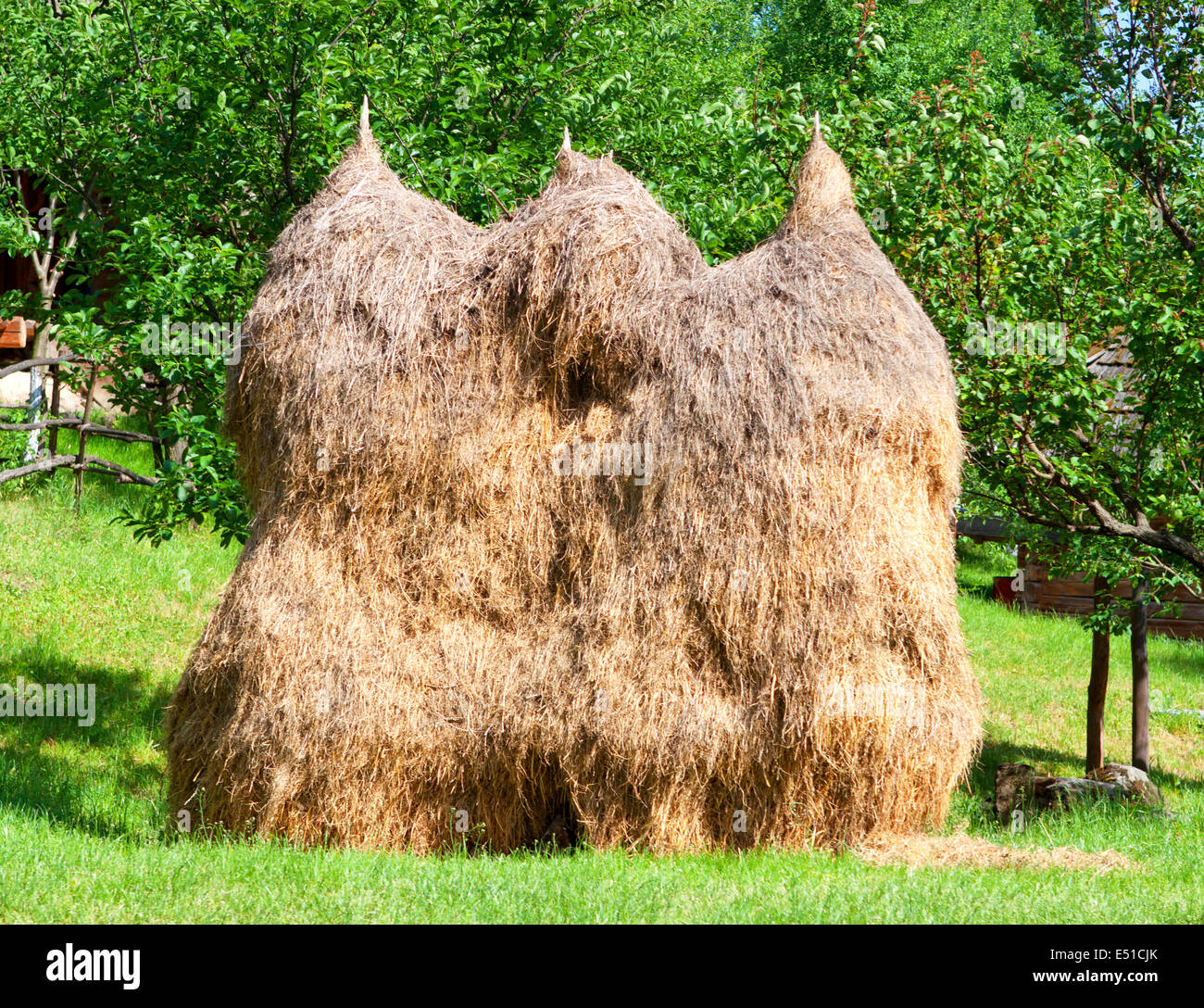 haystack to feed Stock Photo - Alamy