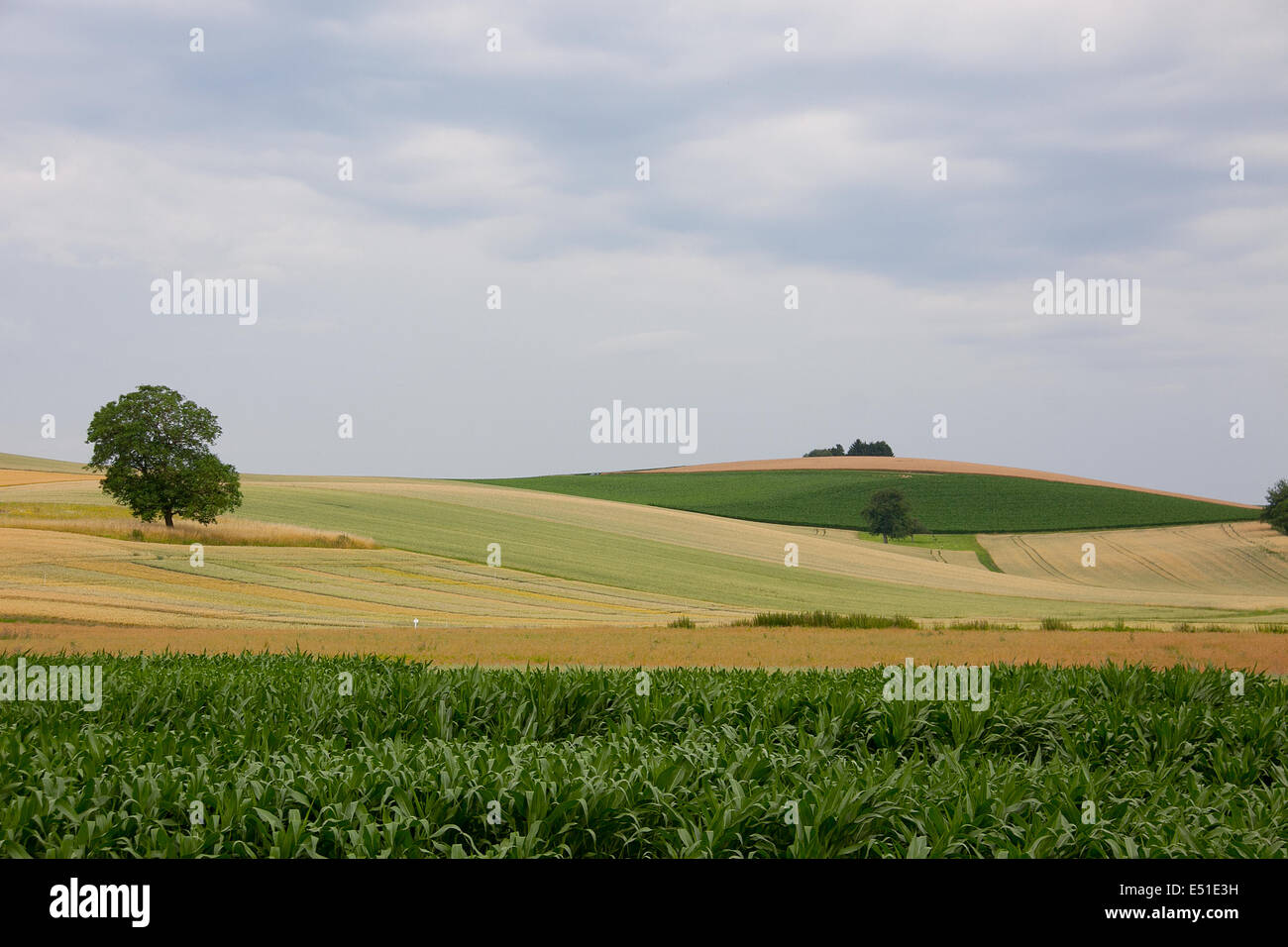 German landscape hi-res stock photography and images - Alamy
