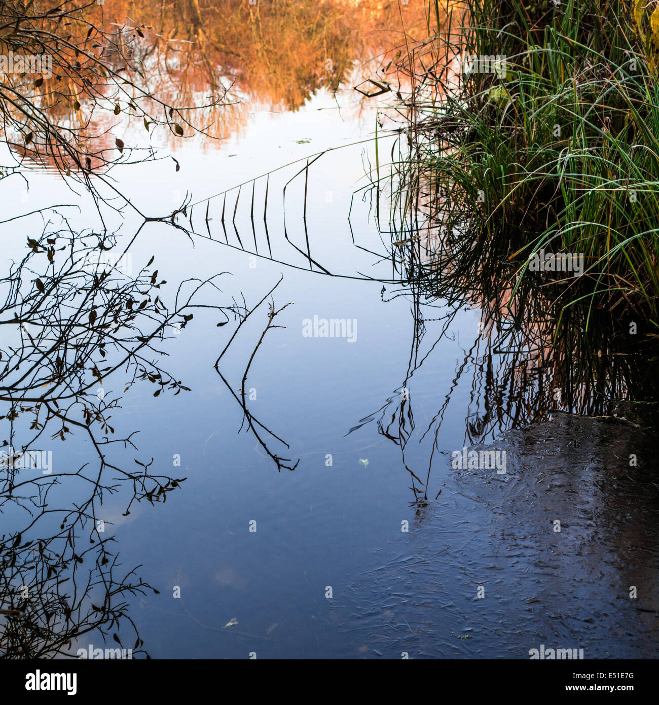 Reflection on water Stock Photo - Alamy