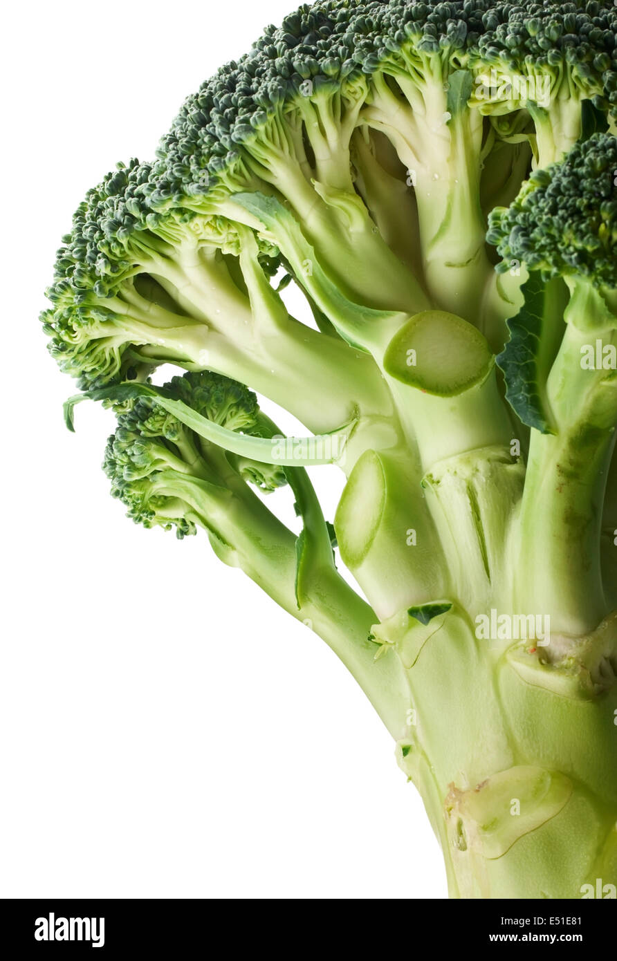 Broccoli garden autumn hi-res stock photography and images - Alamy