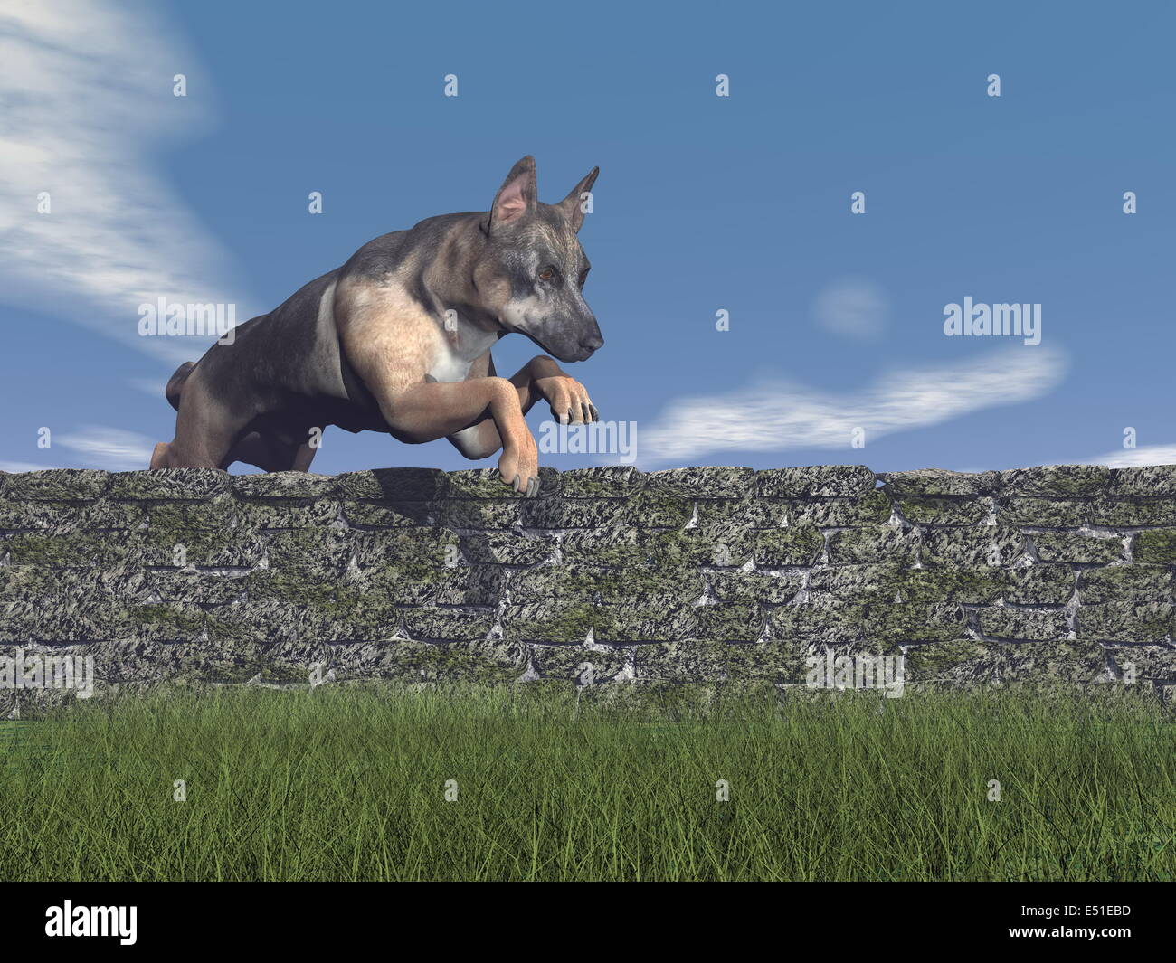 German shepherd dog jumping - 3D render Stock Photo - Alamy