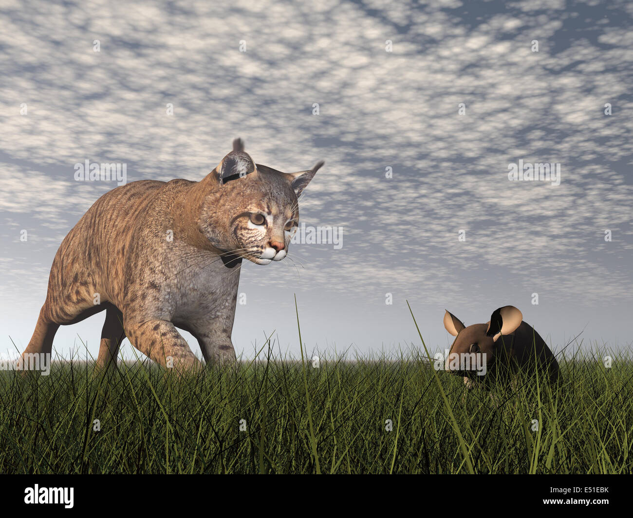 Bobcat hunting mouse - 3D render Stock Photo - Alamy