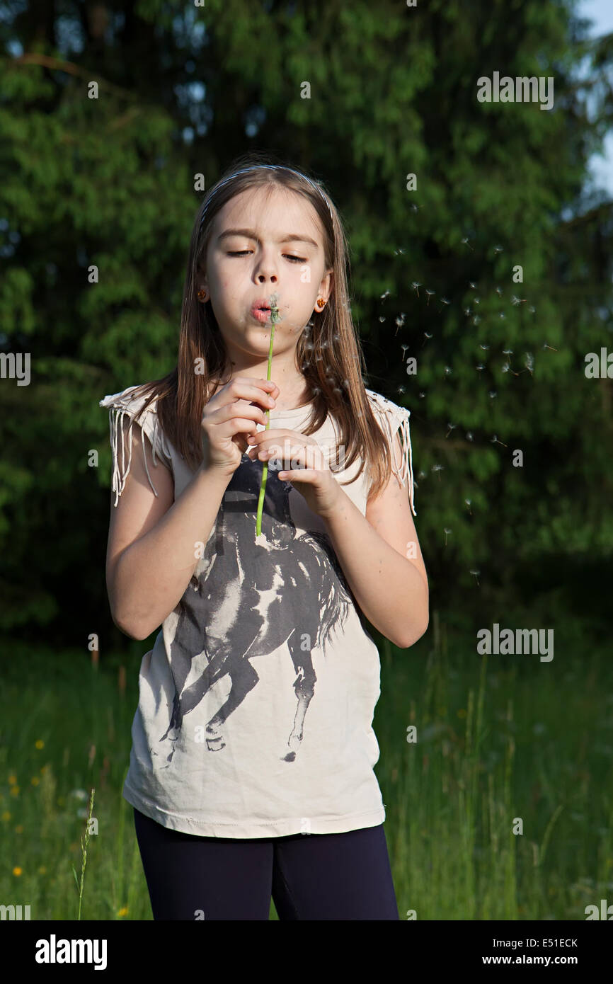 Blowing into dandelion Stock Photo - Alamy