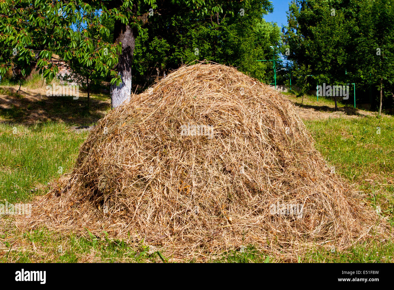 hay with the blue cloudy sky Stock Photo - Alamy