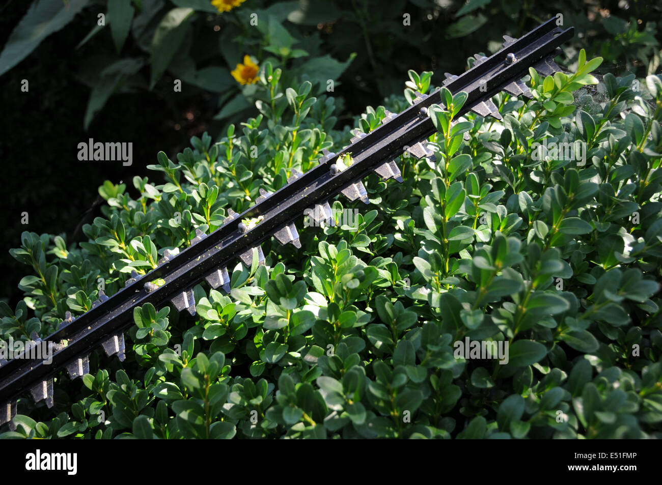 Shaping hi-res stock photography and images - Alamy