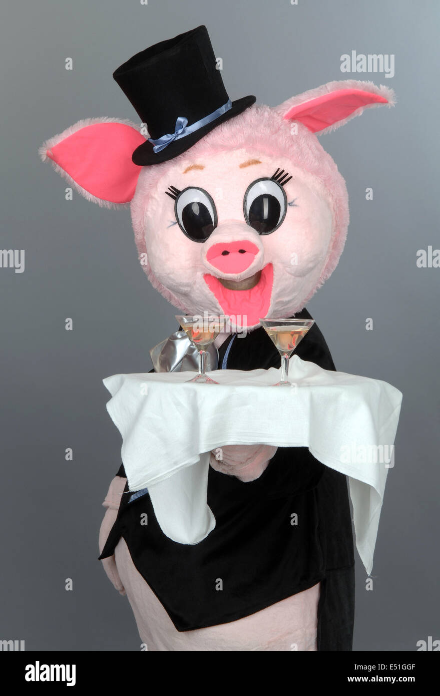 Pig costume dog hi-res stock photography and images - Alamy