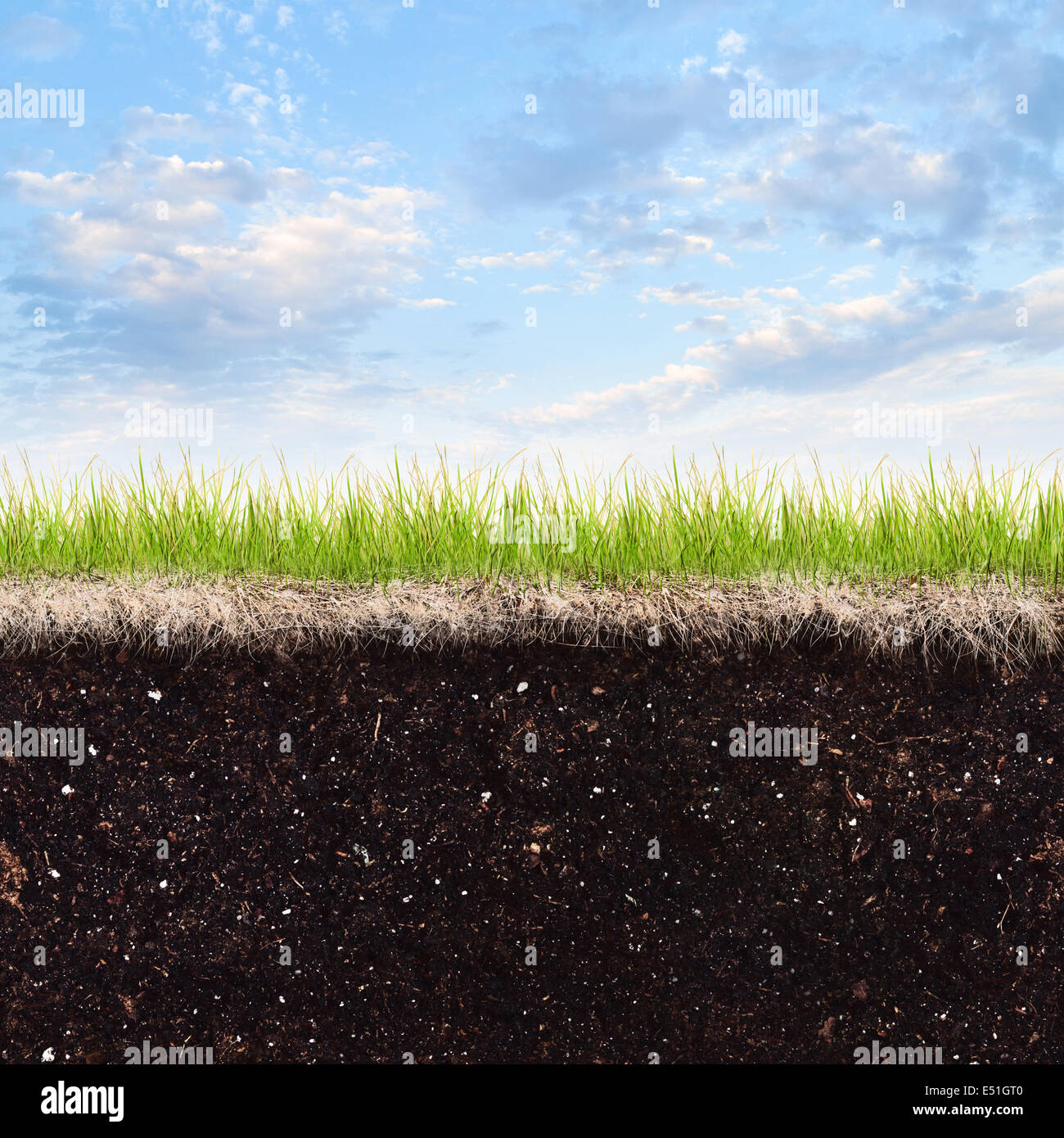 grass and sky Stock Photo - Alamy
