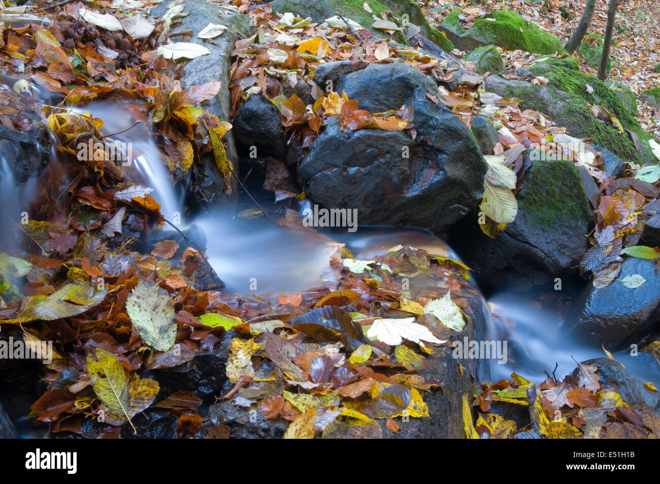 stream flowing among stones Stock Photo - Alamy