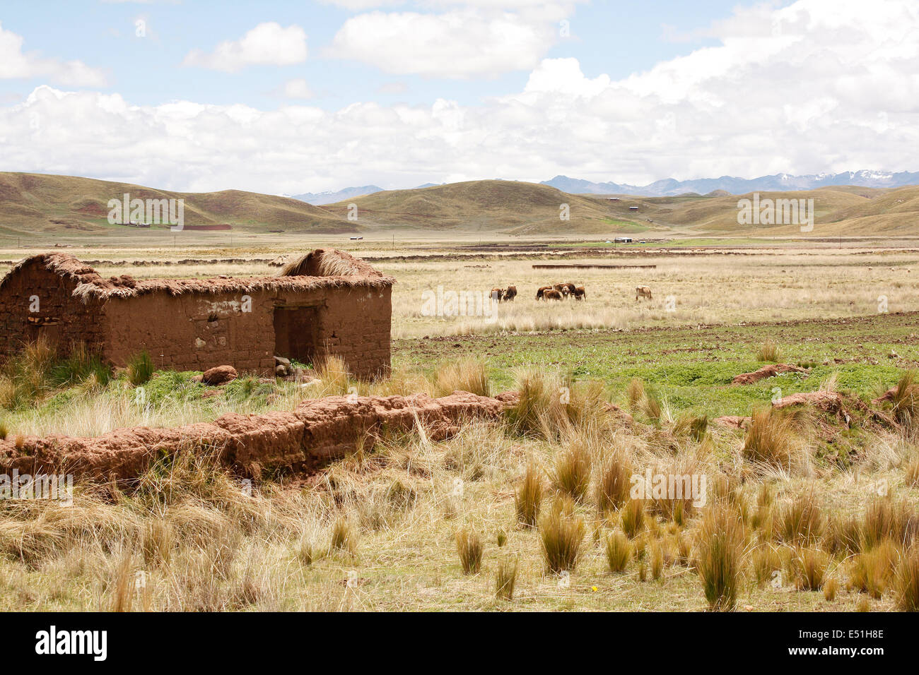 lost and rotten hut Stock Photo - Alamy