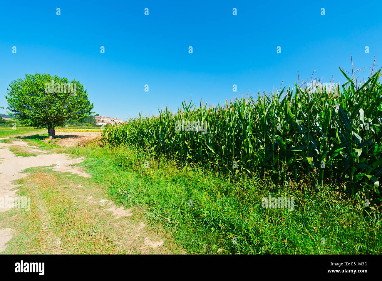 Corn brick hi-res stock photography and images - Alamy