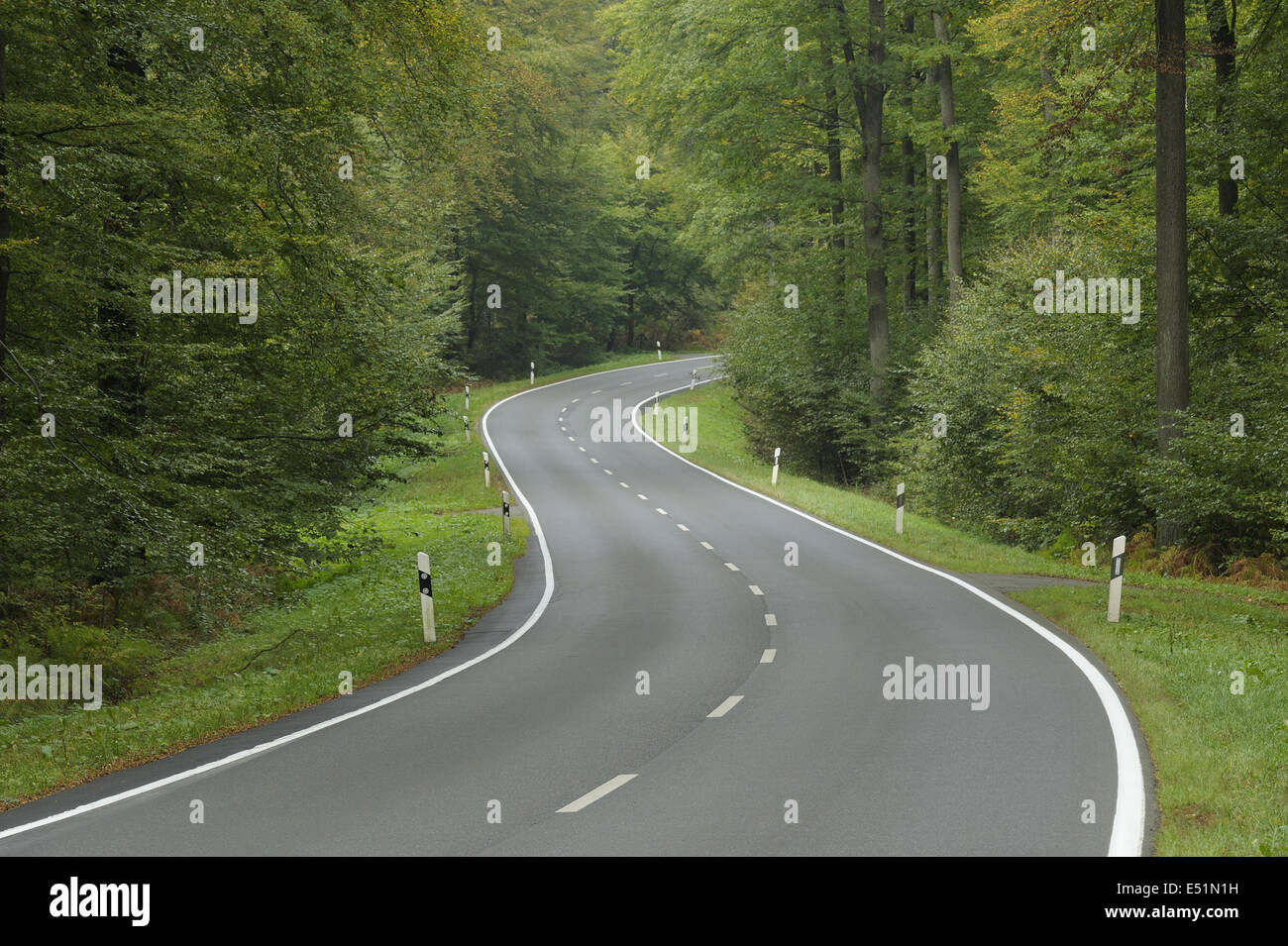 Beech road hi-res stock photography and images - Alamy