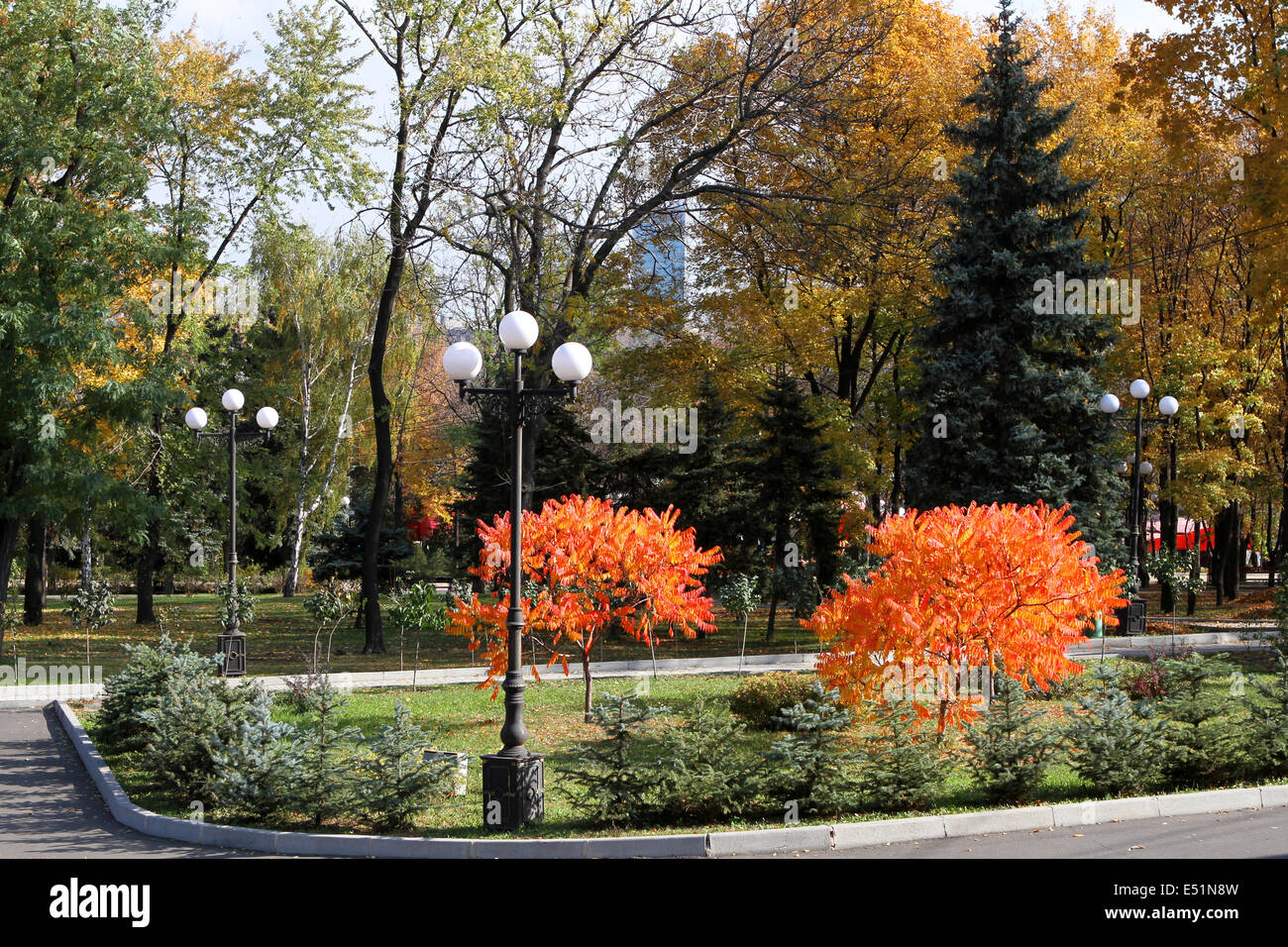 Green landscape with colorful trees hi-res stock photography and images ...