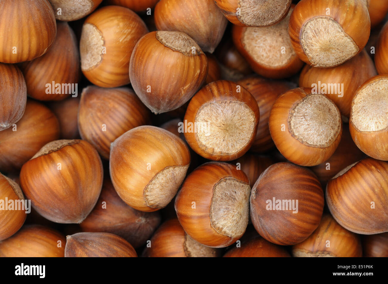 Nusse haselnuss hi-res stock photography and images - Alamy