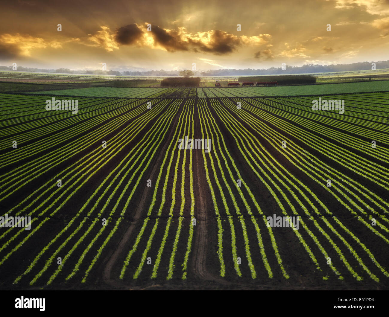Ploughing field at sunset hi-res stock photography and images - Alamy