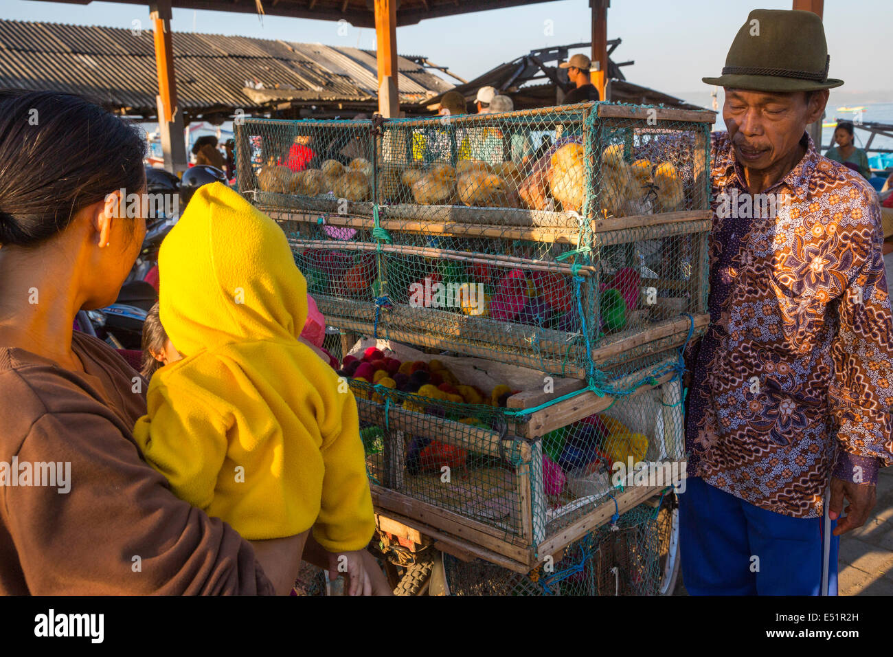 Selling baby chicks at the market hi-res stock photography and images ...