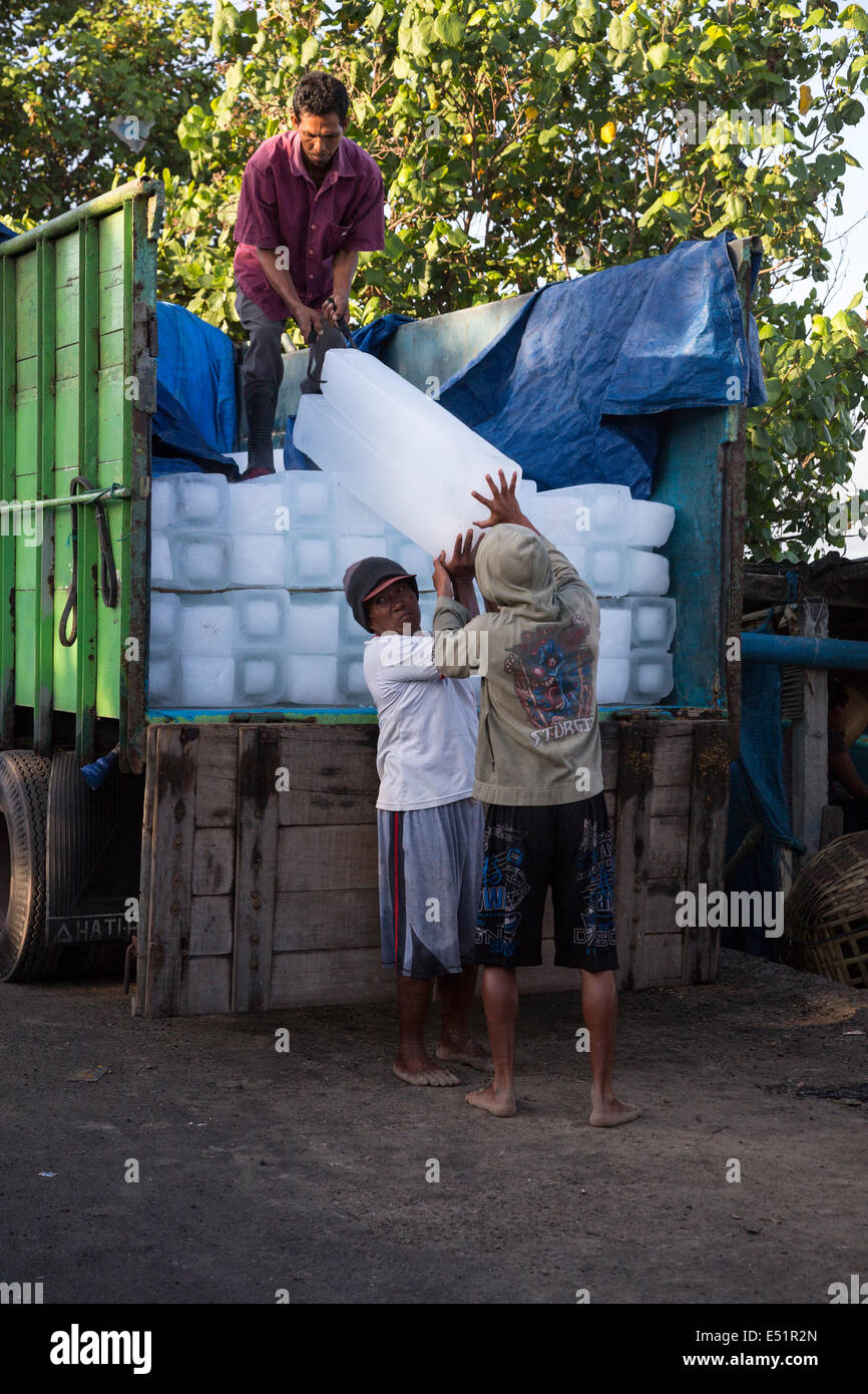 Ice Loading High Resolution Stock Photography and Images - Alamy