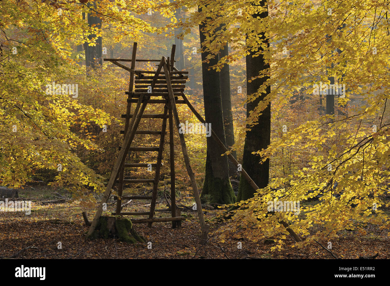 Spessart nature hi-res stock photography and images - Alamy
