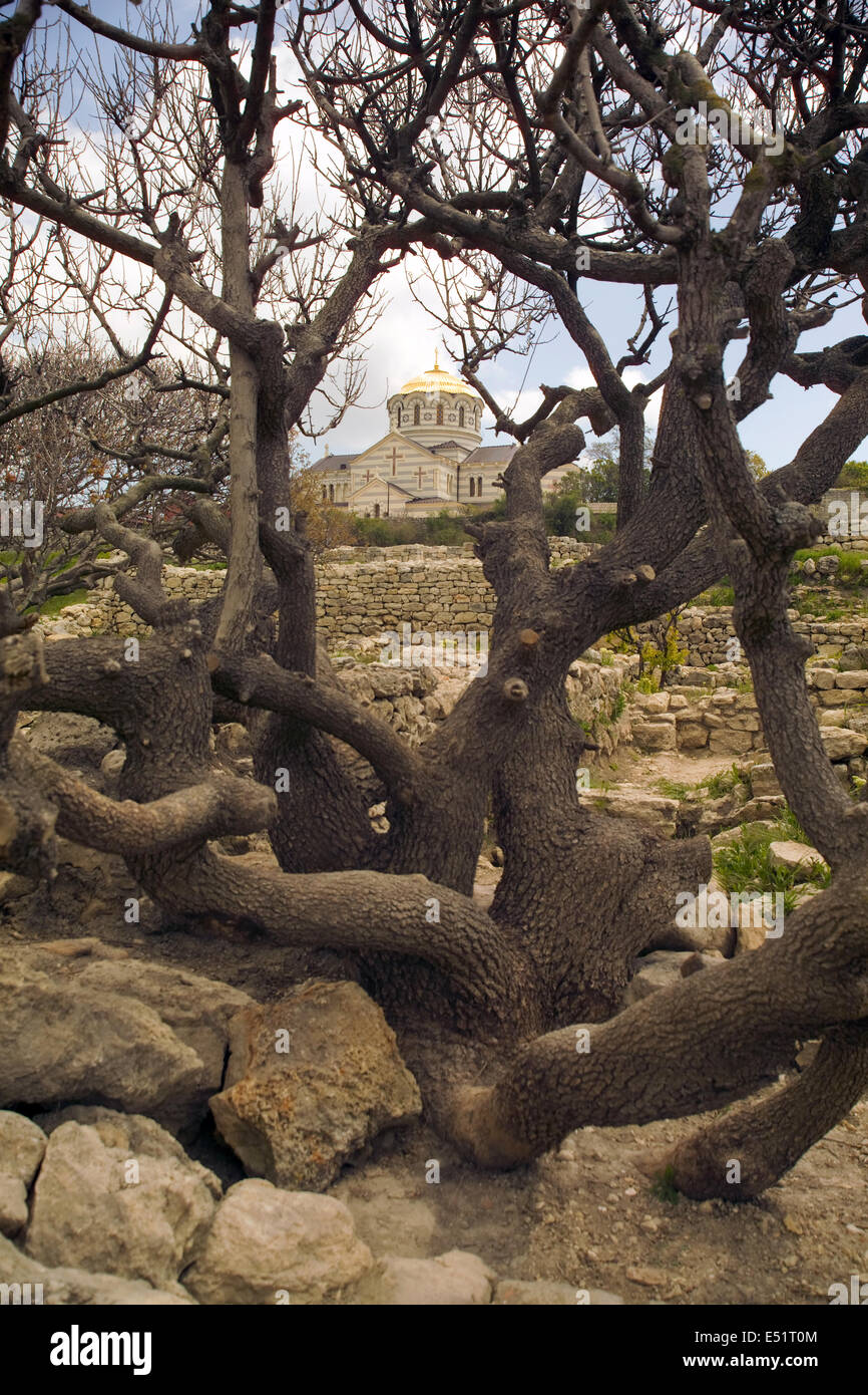 trees and old church Stock Photo - Alamy