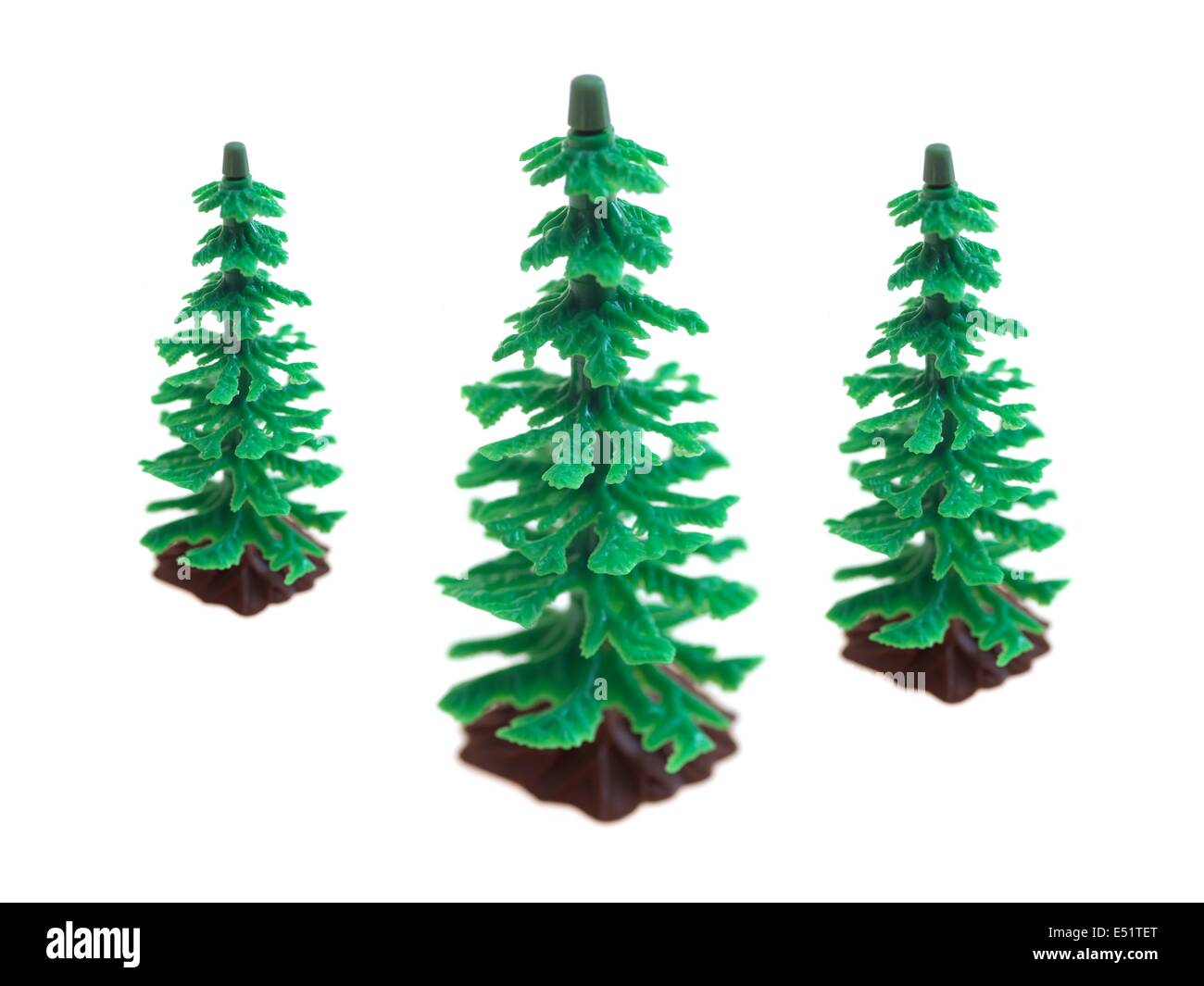 Pine fir trees Cut Out Stock Images & Pictures - Alamy