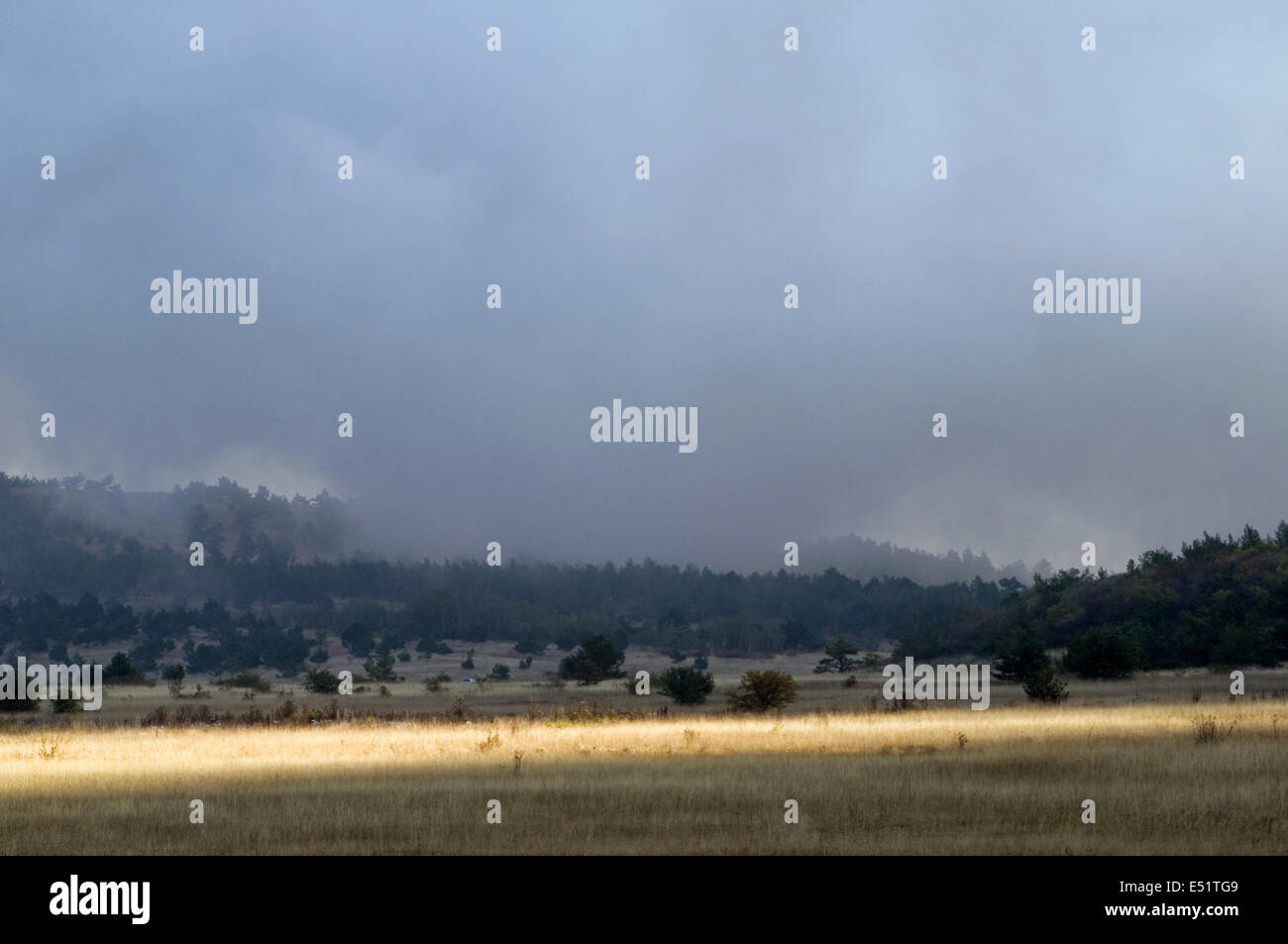 field and fog Stock Photo - Alamy