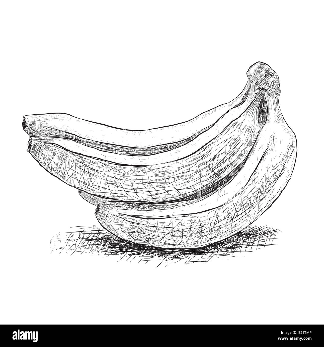Banana vector sketch hi-res stock photography and images - Alamy