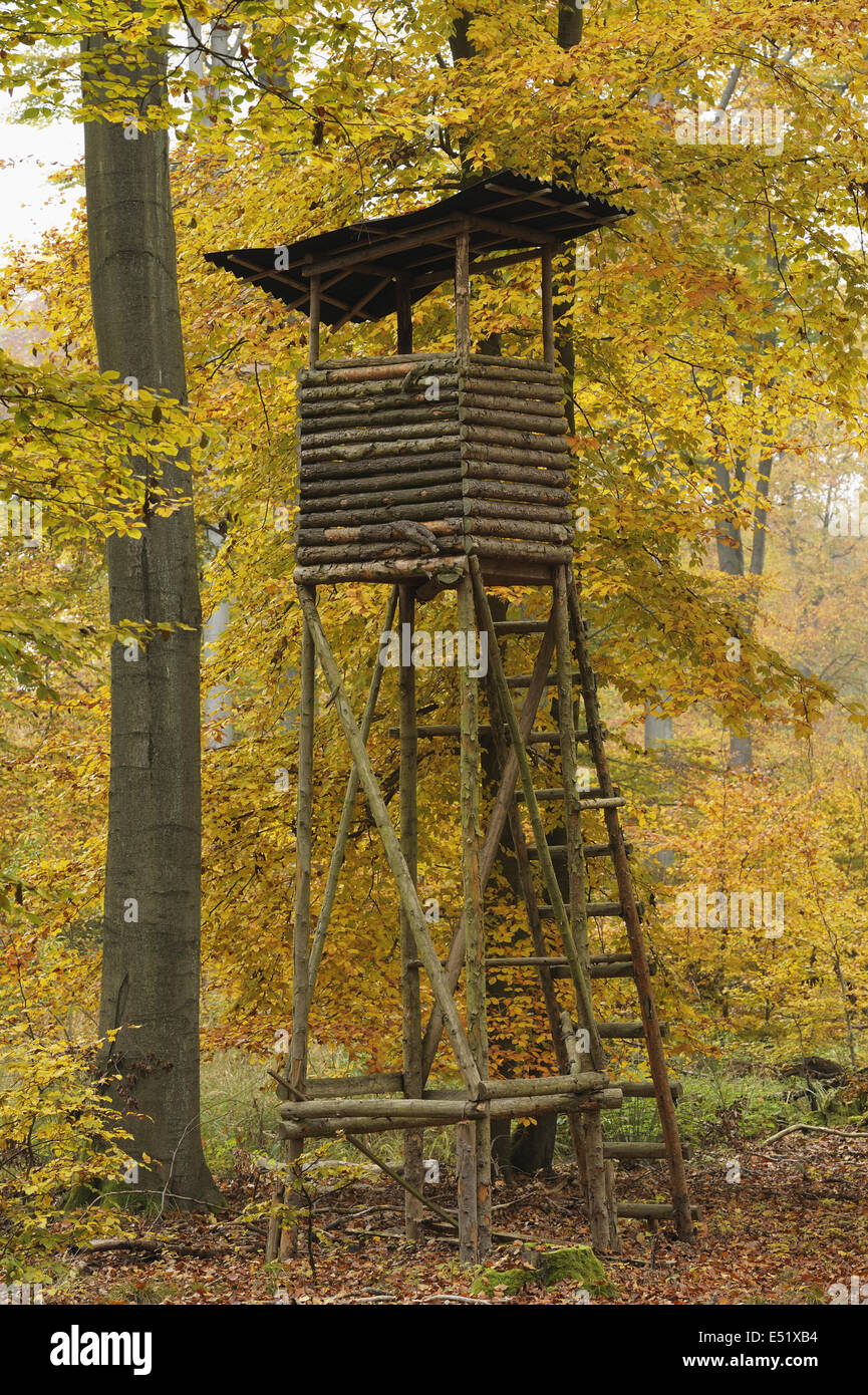 Hunting hide, Germany Stock Photo - Alamy