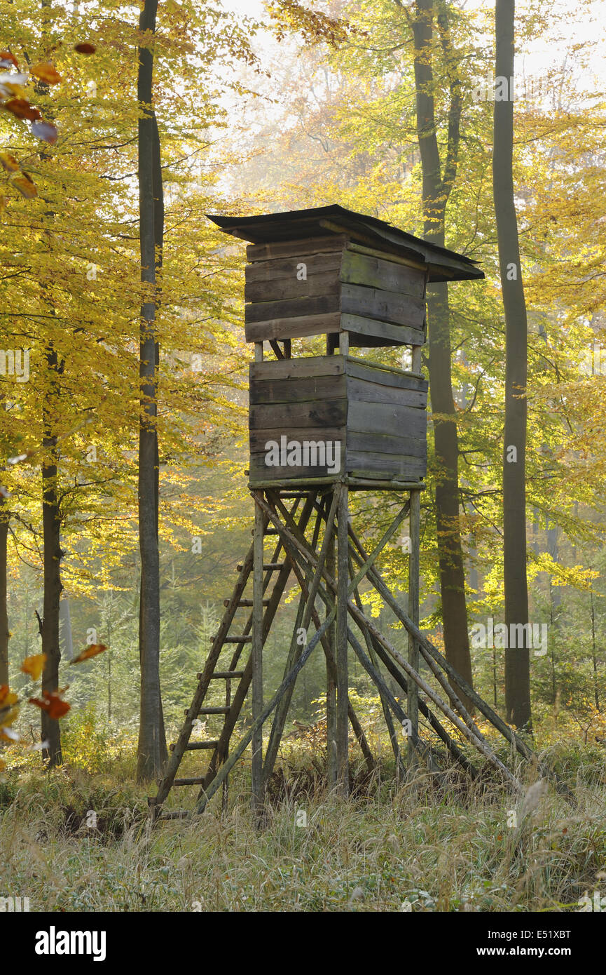 Hunting hide, Germany Stock Photo - Alamy