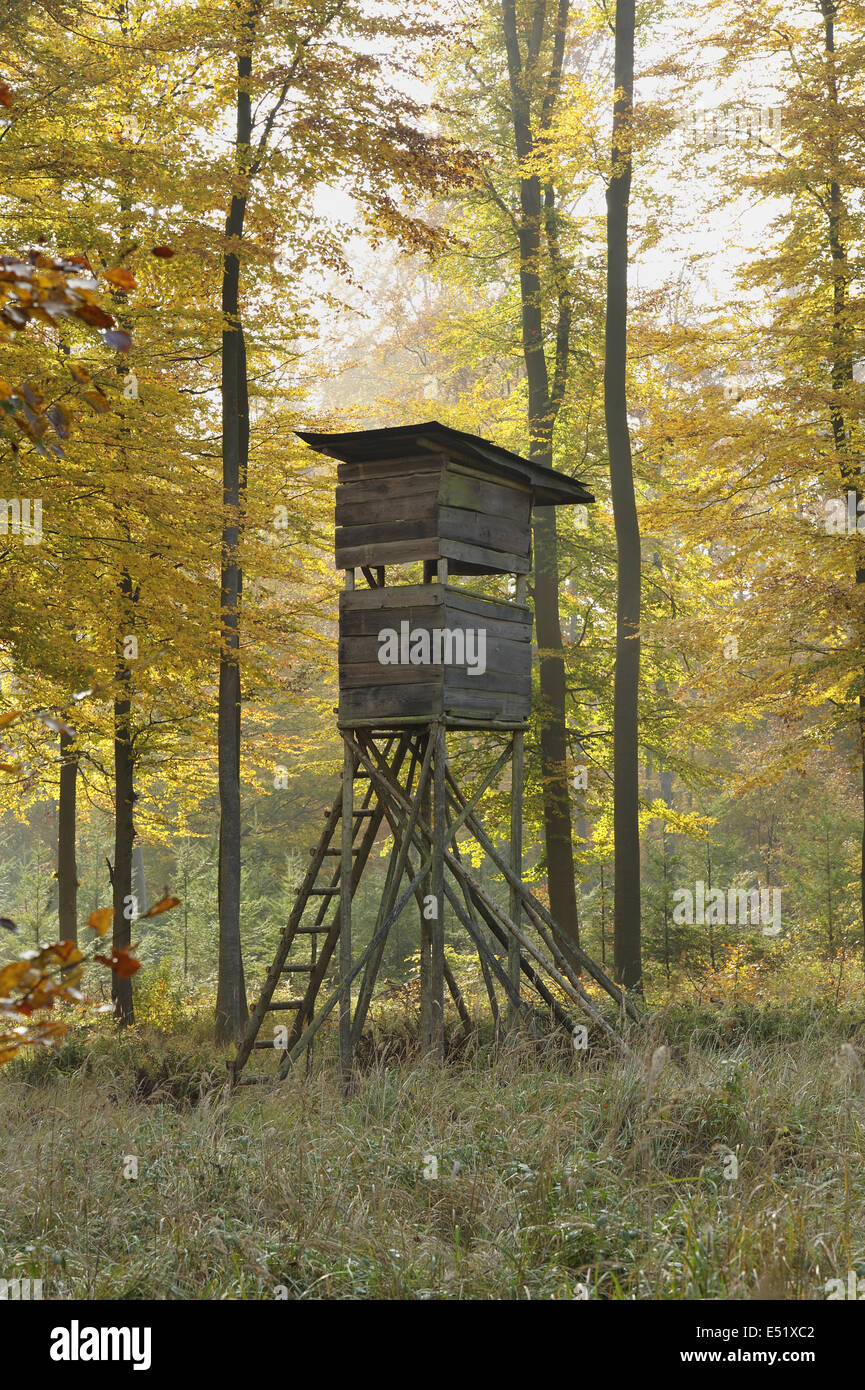 Hunting hide, Germany Stock Photo - Alamy