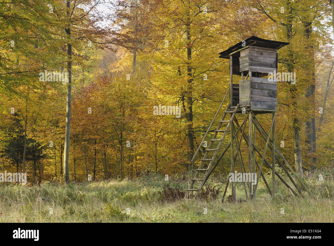 Hunting blind, Germany Stock Photo - Alamy